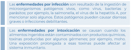 Las Enfermedades Transmitidas por Alimentos (ETA) – Subsecretaría de ...
